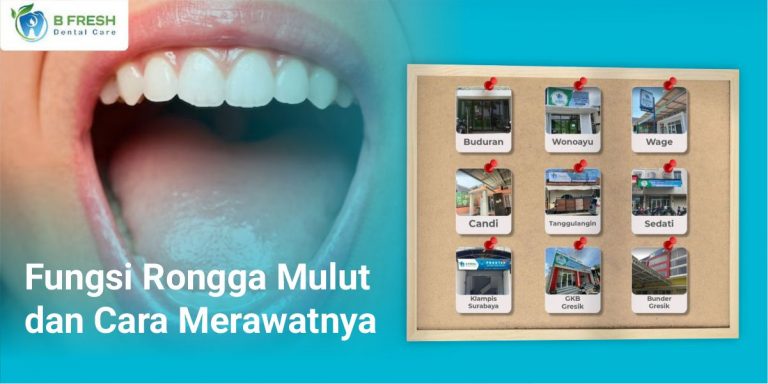Fungsi Rongga Mulut dan Cara Merawatnya -Bfresh Dental Care